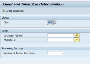 New client copy tools – Saptechnicalguru.com