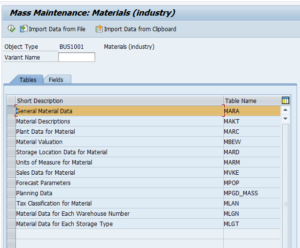 MASS transaction – Saptechnicalguru.com