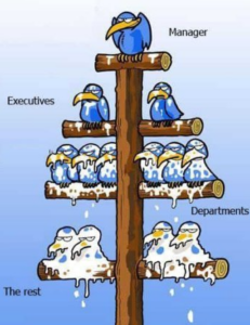 Humor – Saptechnicalguru.com